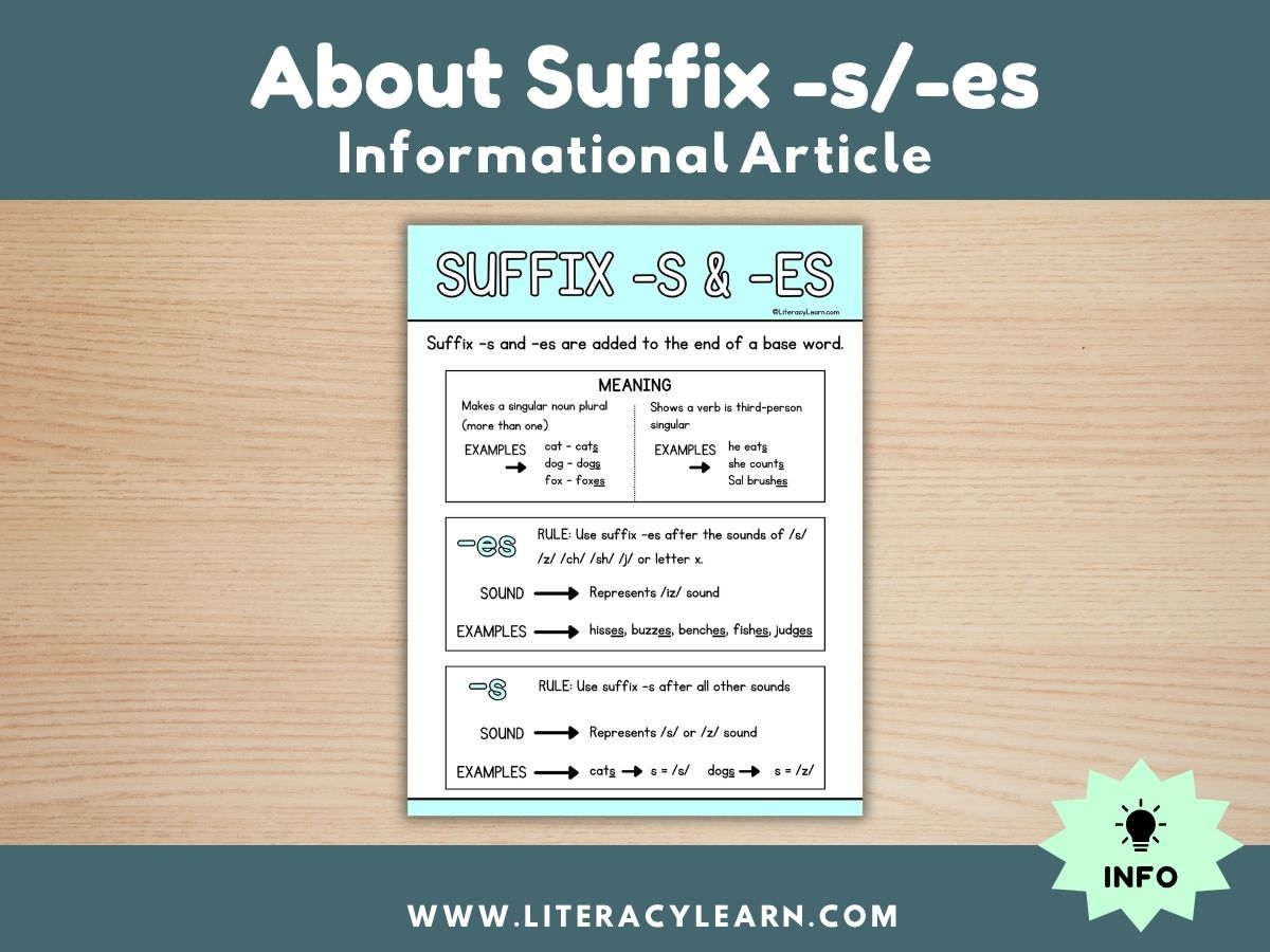 About Suffix -S and -ES - Literacy Learn Unlimited