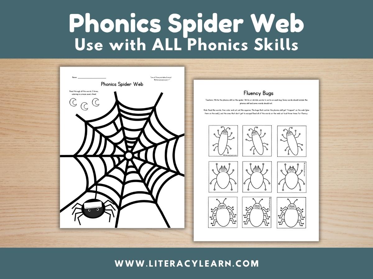 Spider Web Phonics Practice - Literacy Learn Unlimited