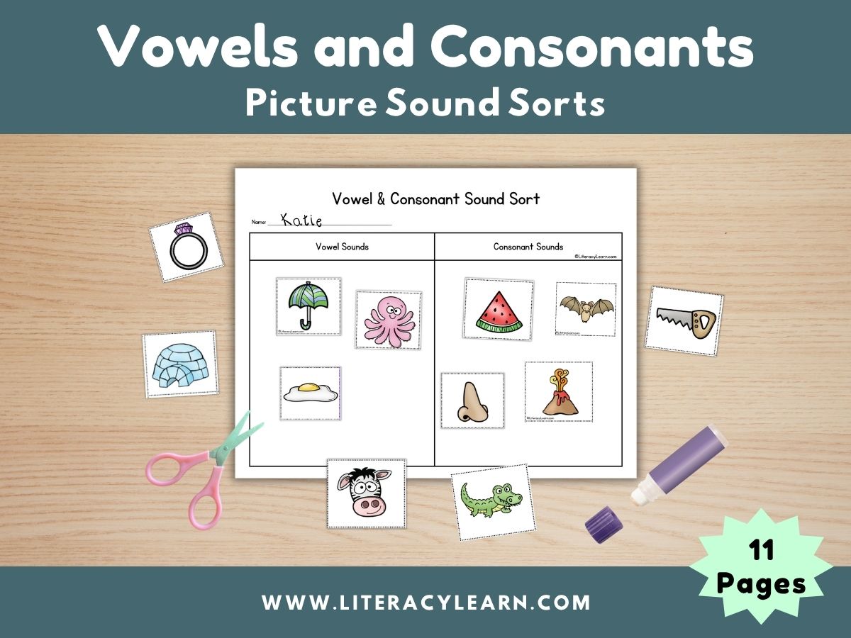 Vowels and Consonants Sounds: Picture Sorts - Literacy Learn Unlimited