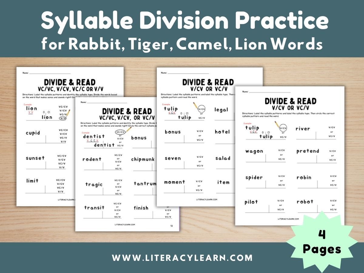 Syllable Division Practice: Rabbit, Tiger, and Camel Words - Literacy ...