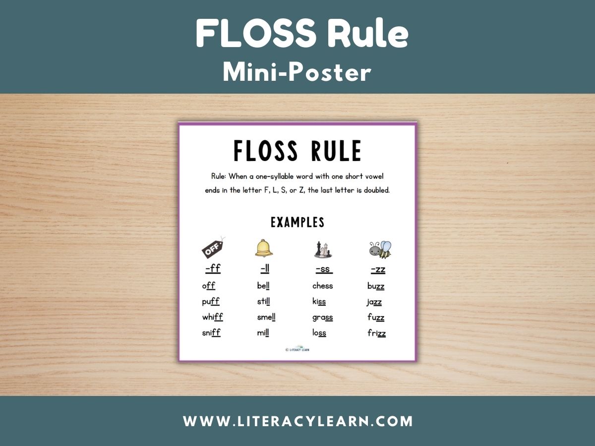 FLOSS Rule Mini-Poster - Literacy Learn Unlimited