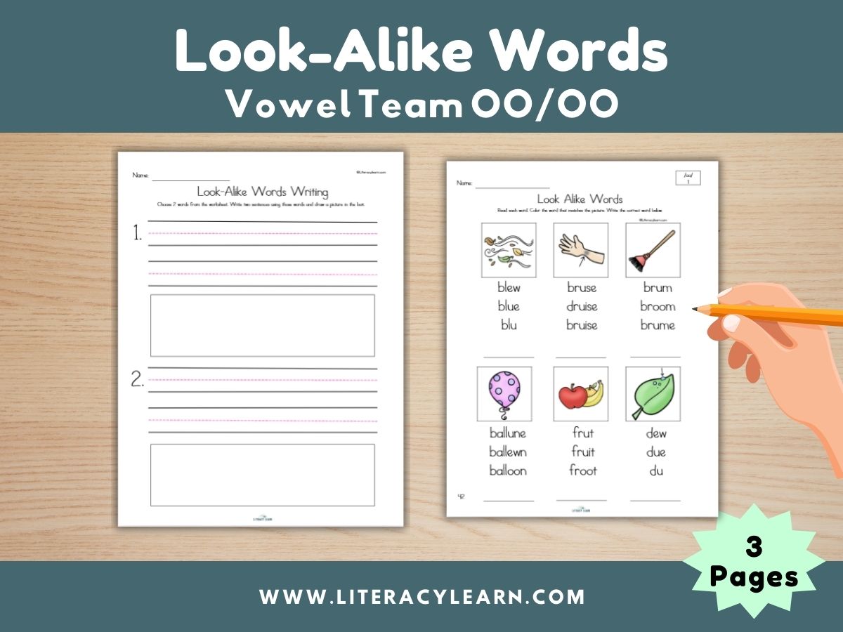 Look Alike Words: Vowel Teams OO/OO - Literacy Learn Unlimited